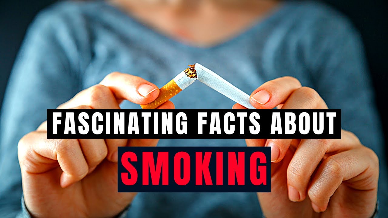 10 Surprising Facts About Smoking That Will Change Your Perception ...