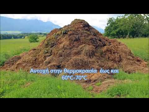 ΚΟΜΠΟΣΤΟΠΟΙΗΣΗ ΜΕ ΒΑΚΤΗΡΙΑ - YouTube