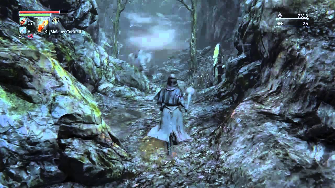 Bloodborne Void Walkers VS Shadows of Yharnam - YouTube
