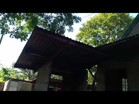 Undas At La Union 11/01/2025 Part 28