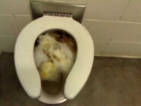 Disgusting Toilet - YouTube