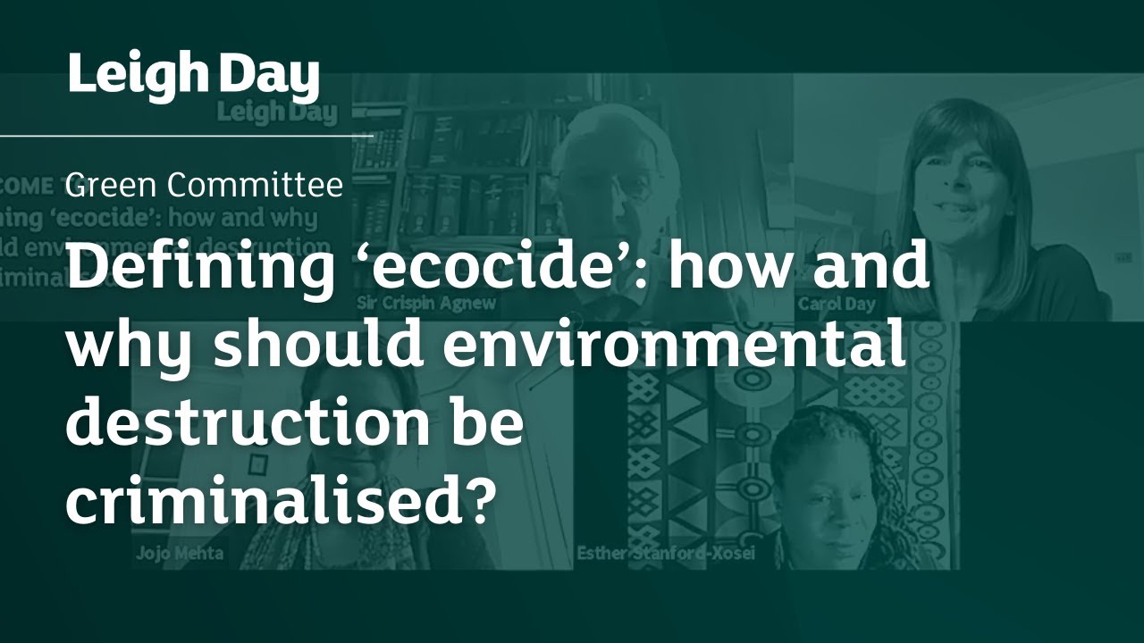Defining Ecocide: how and why should environmental destruction be ...