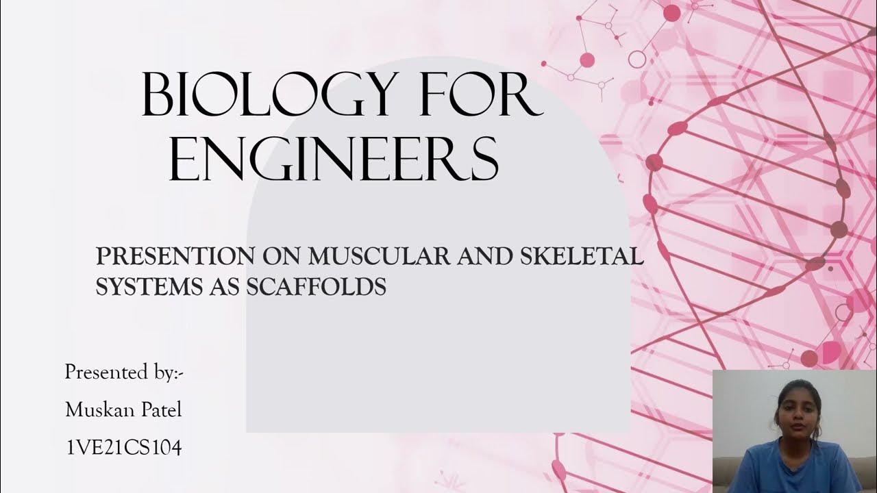 MUSCULAR AND SKELETAL SYSTEMS AS SCAFFOLDS (21BE45) - YouTube