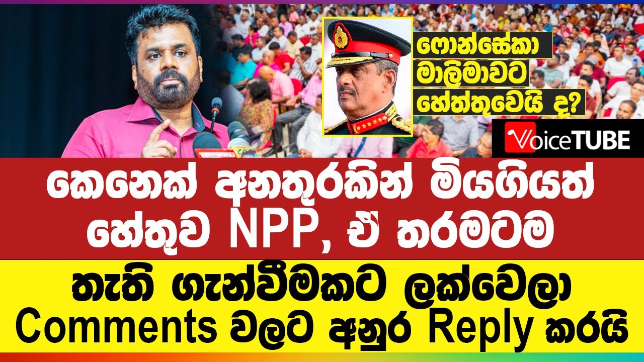 කෙනෙක් අනතුරකින් මියගියත් හේතුව NPP, ඒ තරමටම තැති ගැන්වීමකට ලක්වෙලා ...