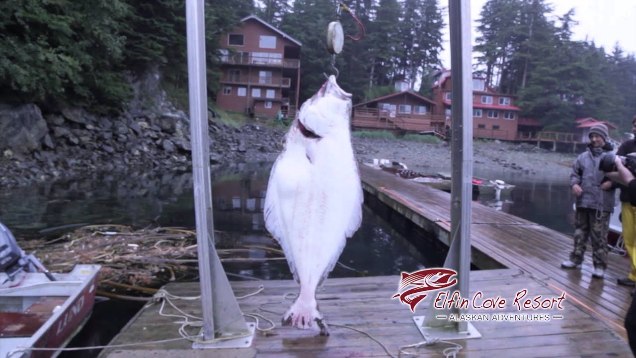 Elfin Cove Resort Alaska. The Ultimate SPORT FISHING and Adventure ...