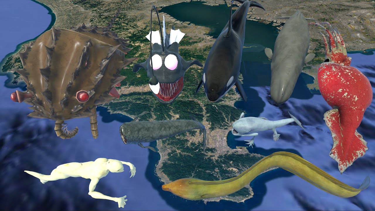 Real, Legendary, Epic 3D Sea Monster Vs SCP Weight Comparison - Sea ...