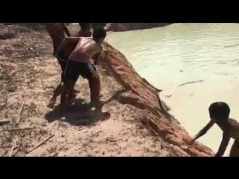 Brave Children Catch Big Snake With Bare Hand -How to Catch Big Python ...