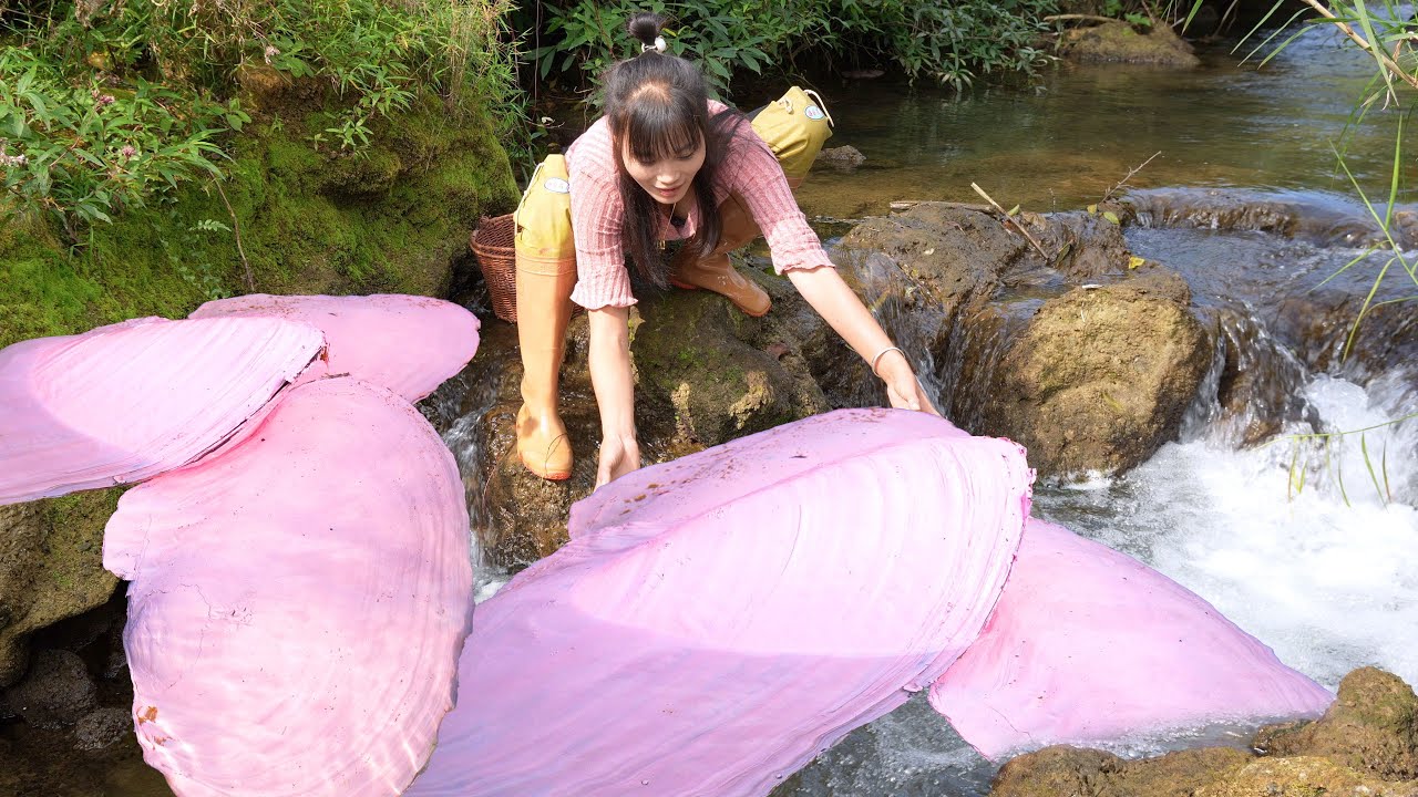 😇🎁 The girl opens the pink mutated giant clam and reveals the origin of ...
