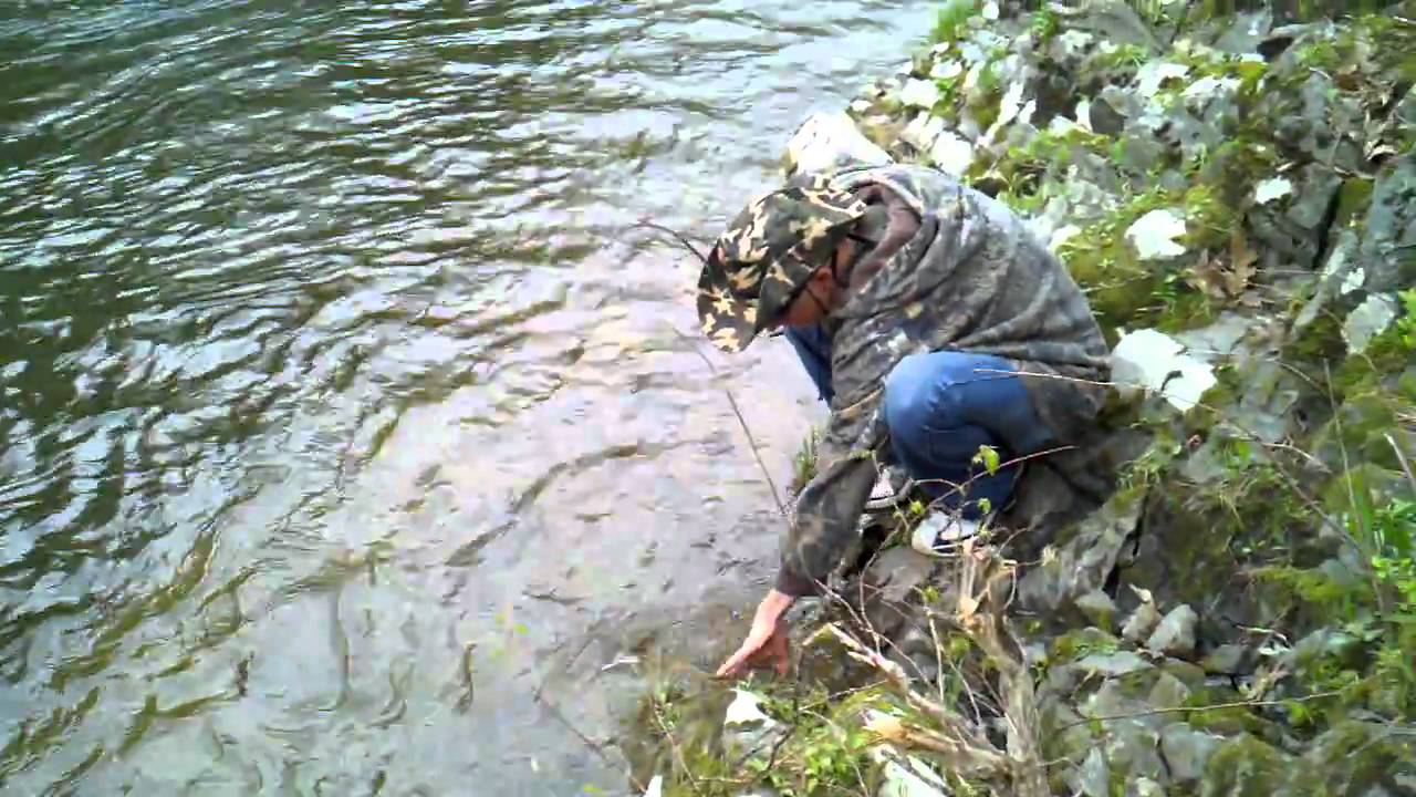 16 inch brown trout fishing upstate New York - YouTube