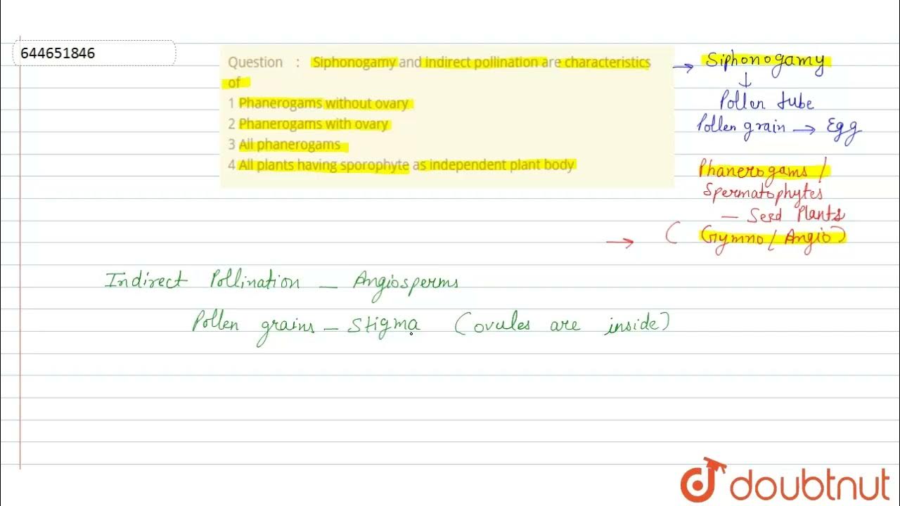 Siphonogamy and indirect pollination are characteristics of \nltBrgt 1 ...