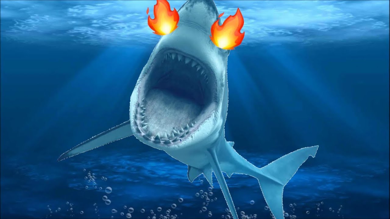 My Top 10 Biggest Fears!!!!!(Water Edition) - YouTube