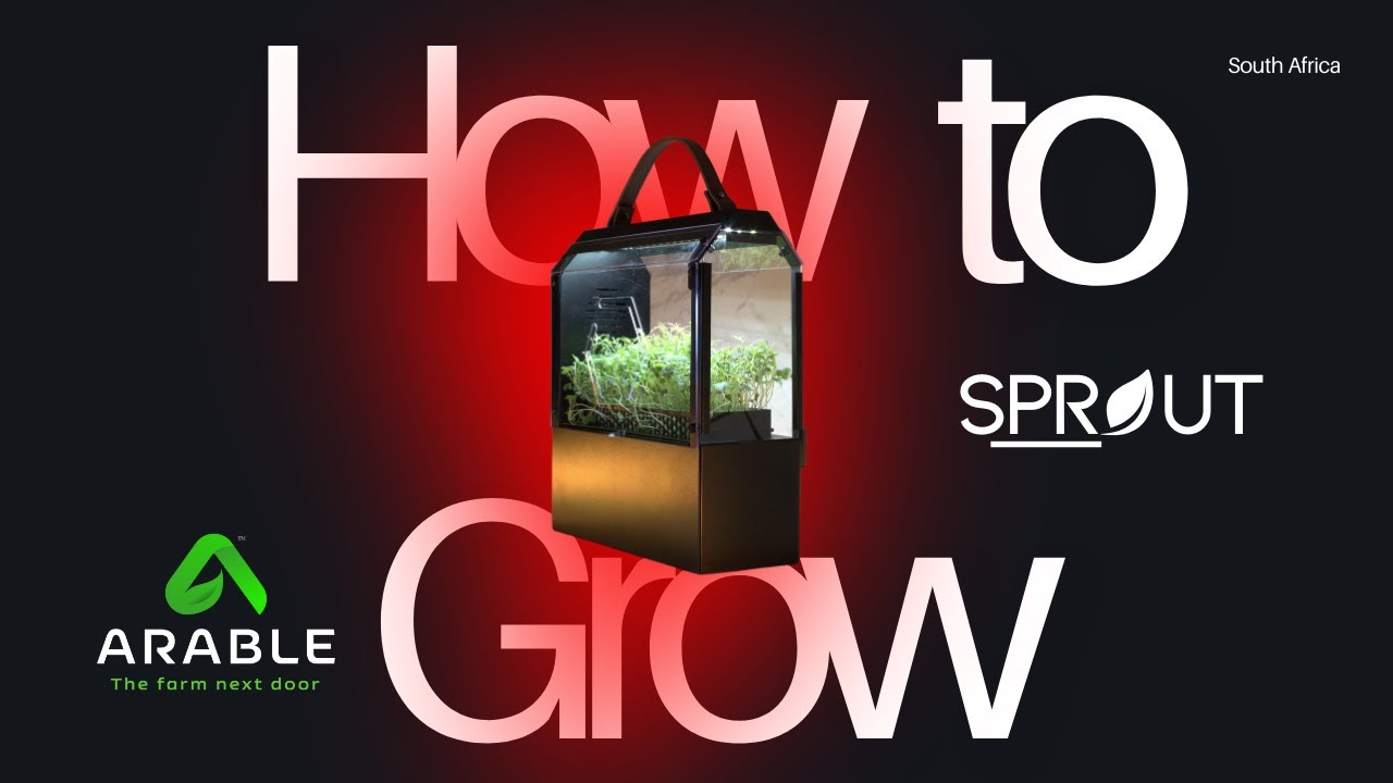 How to Grow Your First Crop with Sprout | Step-by-Step Guide - YouTube