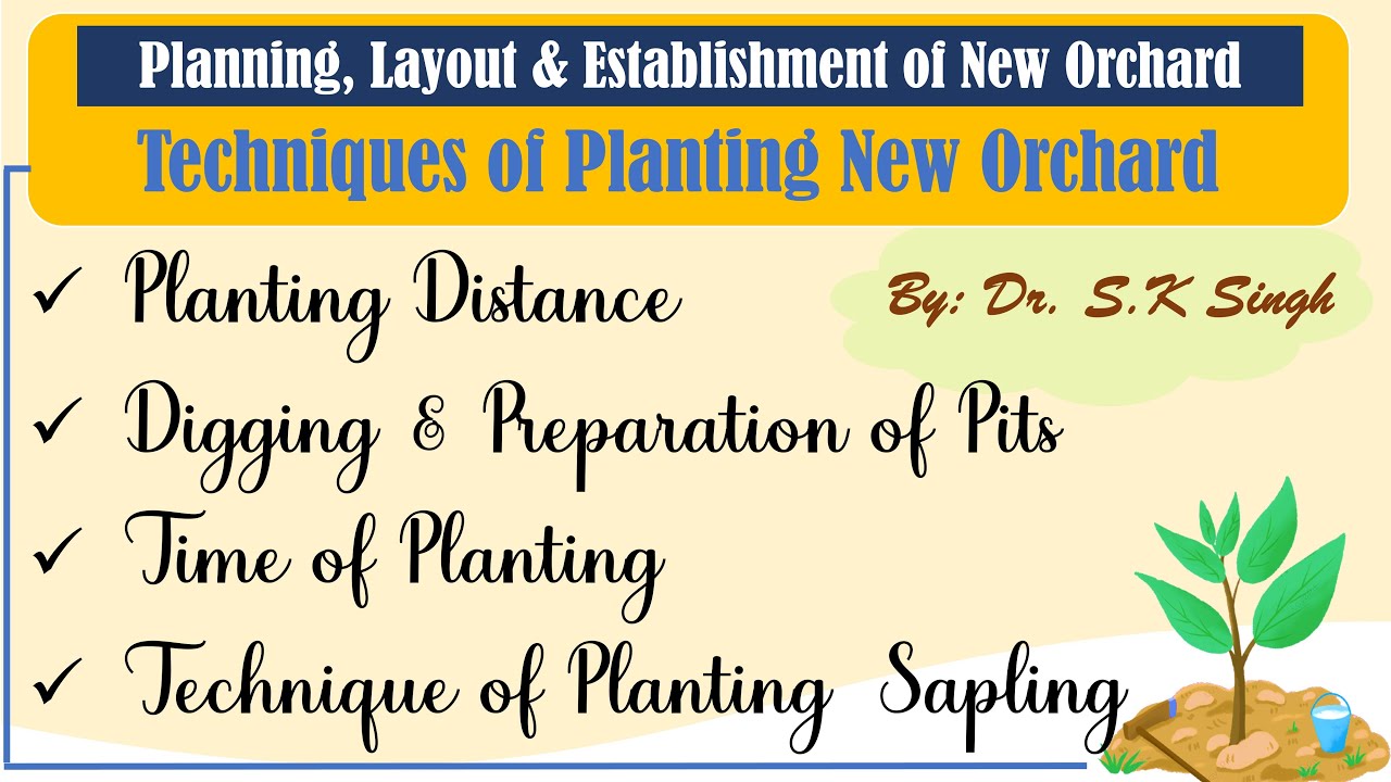 Planning, Layout & Establishment of New Orchard (Techniques of Planting ...