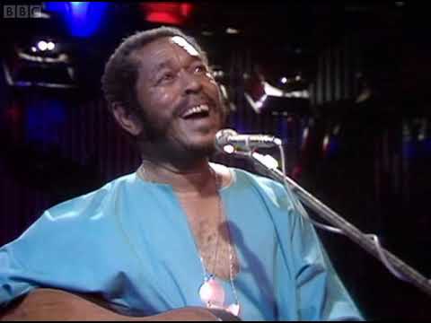 In Concert - Sonny Terry & Brownie McGhee (1974)