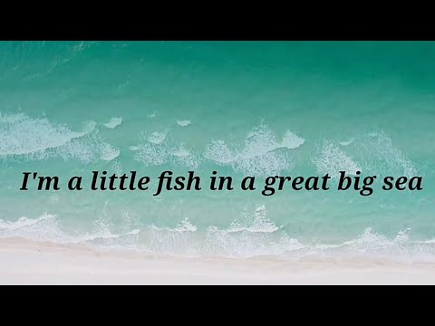 Madilyn - 小鱼 Little Fish (English Version) Lyric Video
