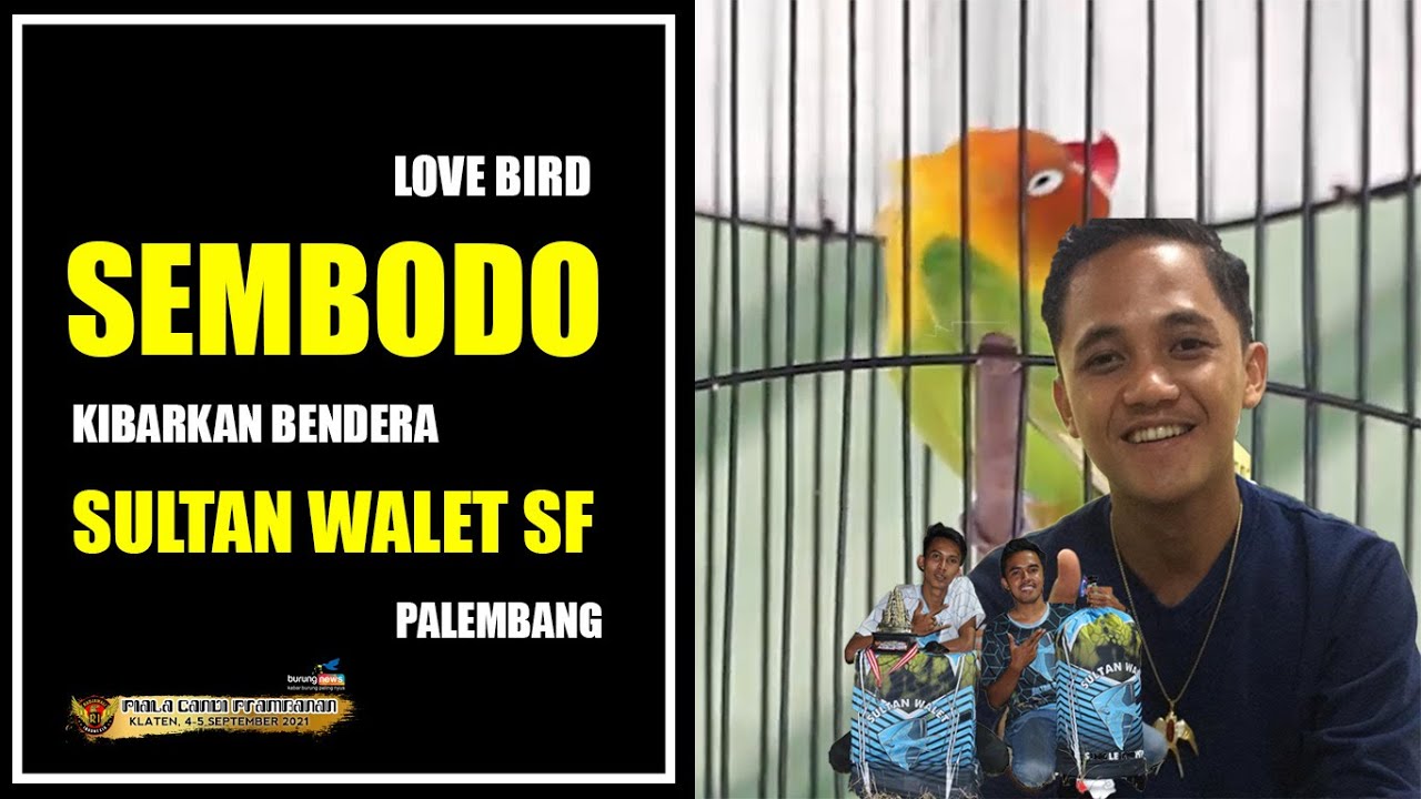 PIALA CANDI PRAMBANAN | LB Sembodo Kibarkan Bendera Sultan Walet SF ...