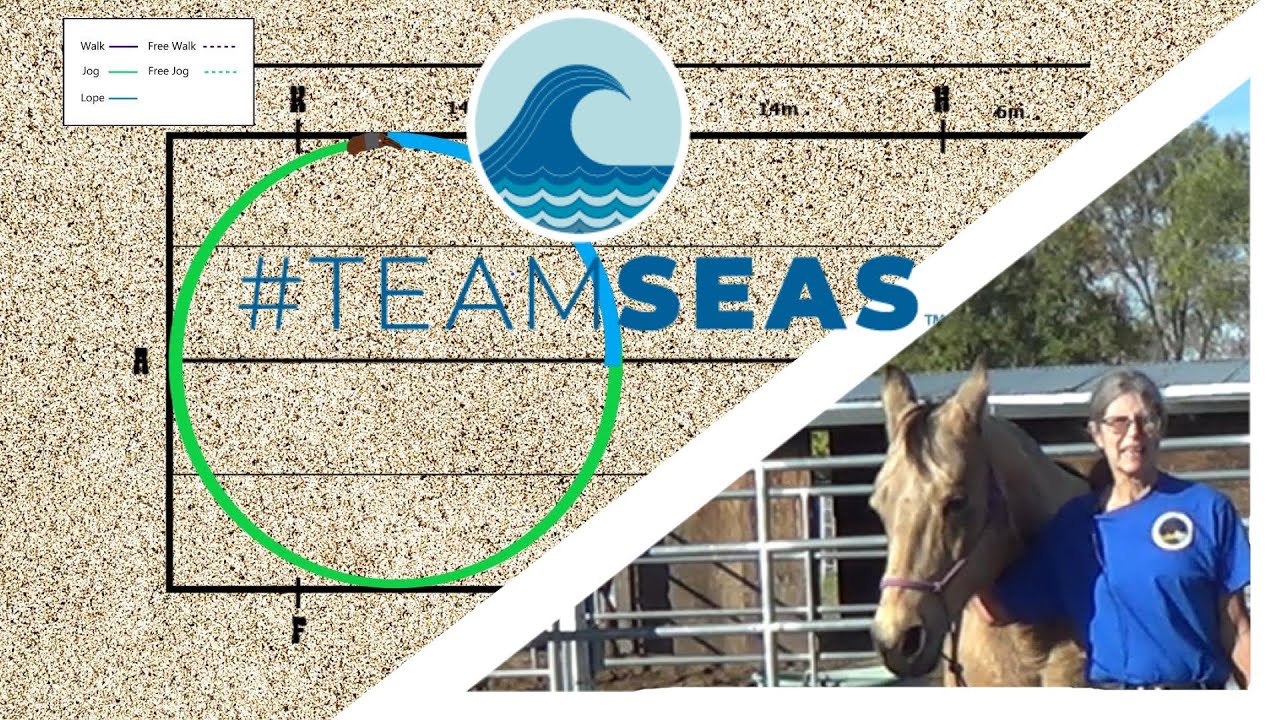 WDAA 2022 Basic Level Test 2 - YouTube