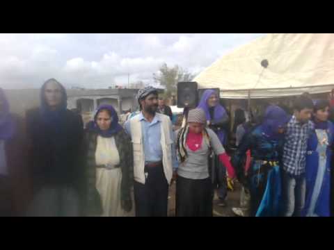 Taşlıköyü düğünleri