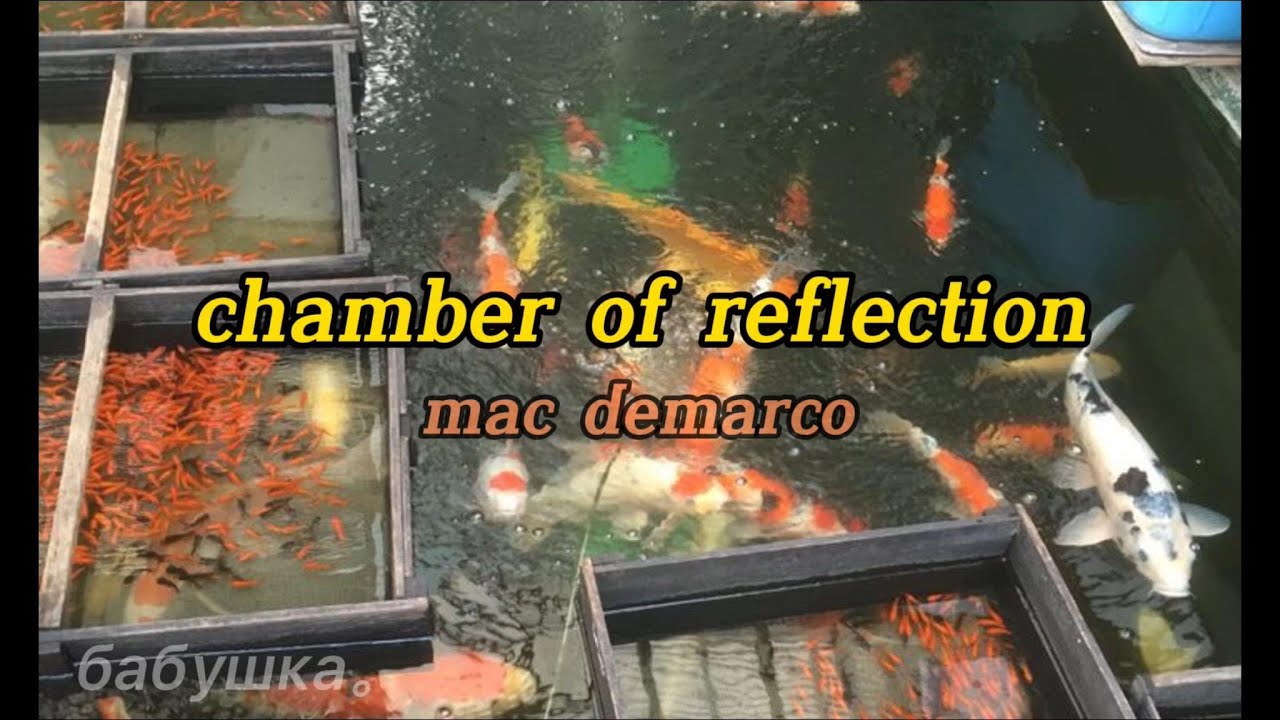 chamber of reflection - mac demarco | lyrics video - YouTube Music