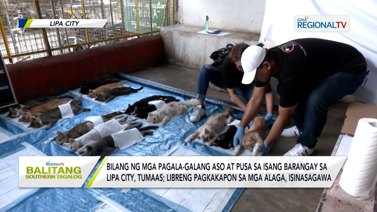 Balitang Southern Tagalog: Libreng pagkakapon sa mga alaga, isinagawa ...