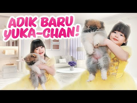 YUKA-CHAN ADOPSI ANAK ANJING LUCU! | a day in our life