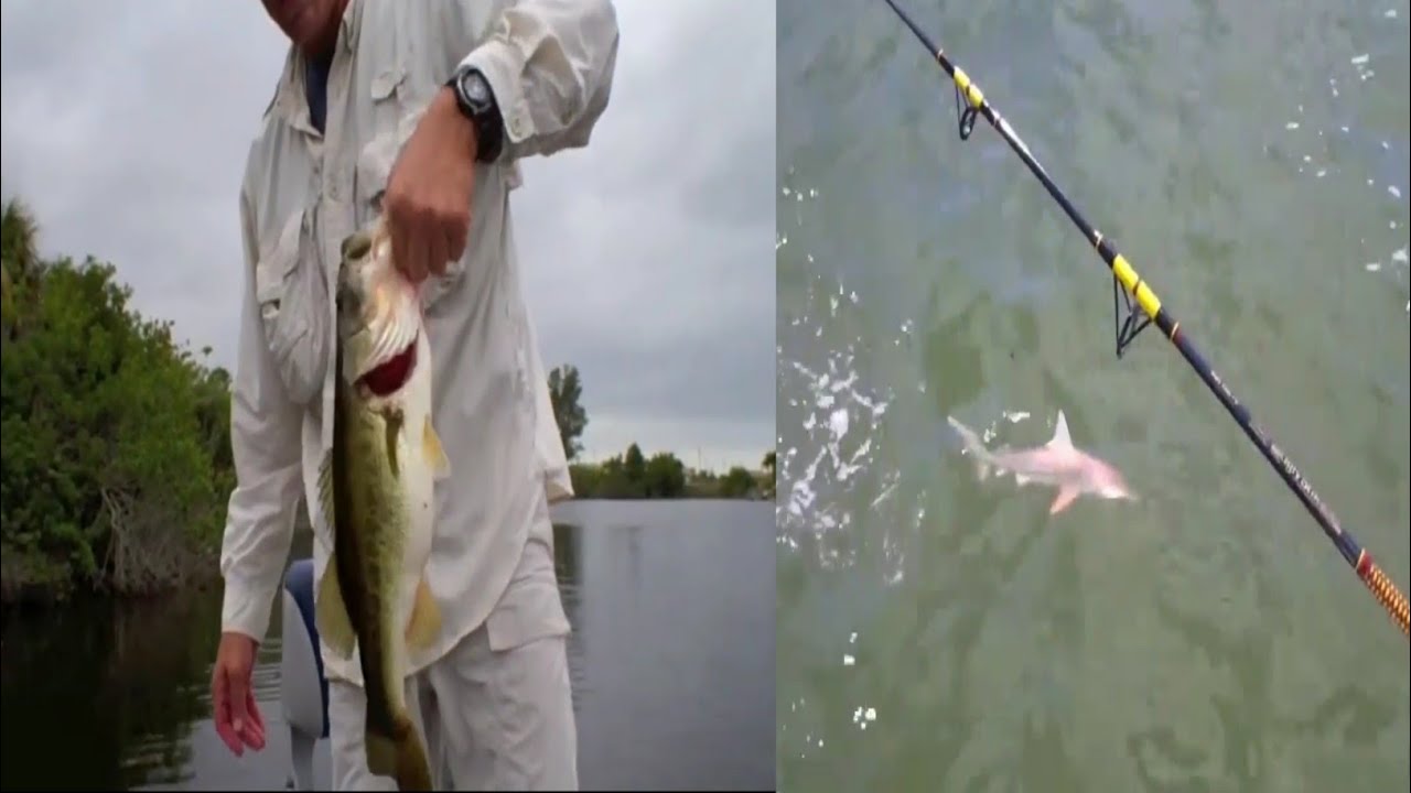 new fishing video. borsi diye mas dhora. borshi or jal se masli pokorna ...