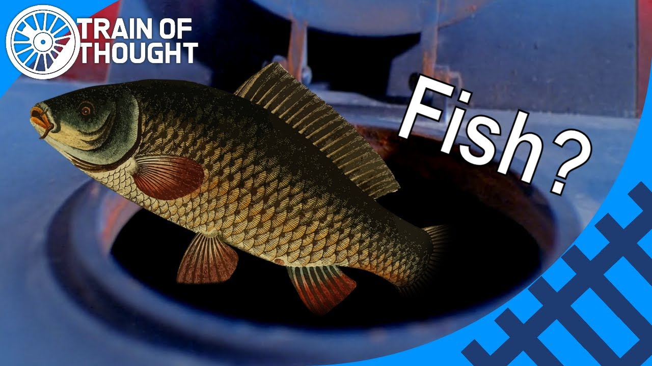 Why there were fish in steam engine water tanks - Fish pun - YouTube
