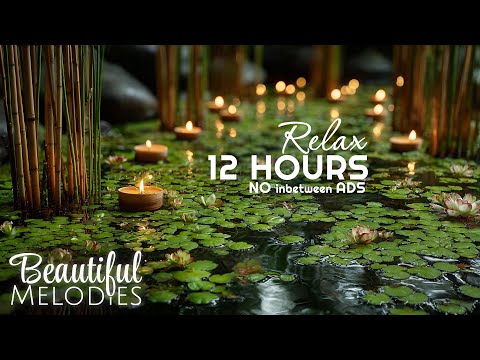 Tranquil Massage Ambience 🌿 Spa Music No Ads for Body & Mind Relaxation