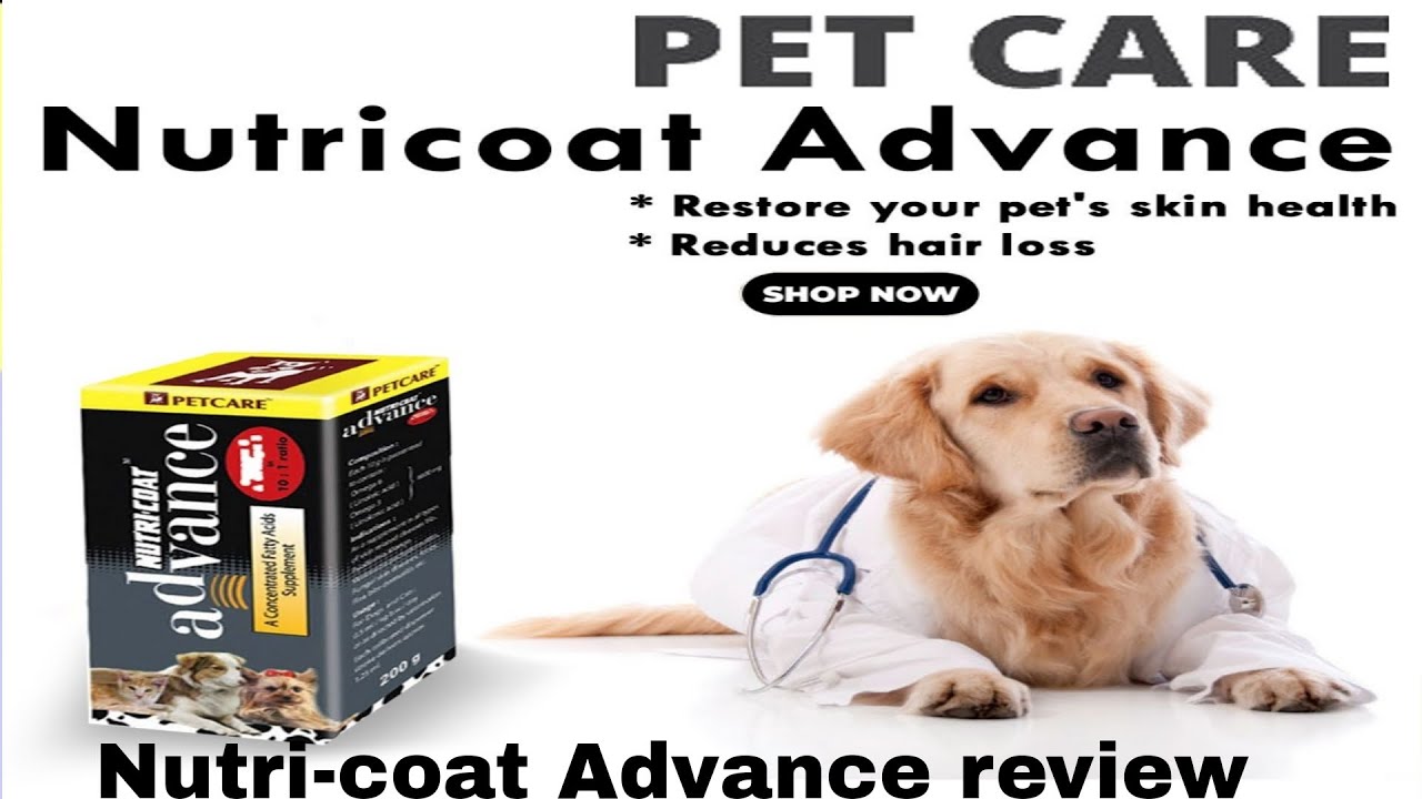 Dog hair fall full solution//बाल झड़ने का समाधान //nutricoat advance ...