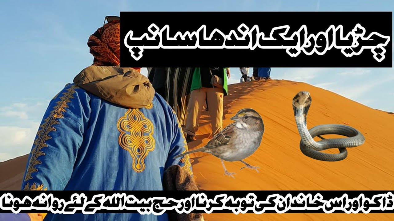 The story of the bird and the blind snake | Chidiya aur Andha sanp ki ...