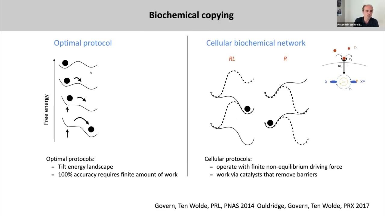 Optimal finite-time copying protocols - YouTube