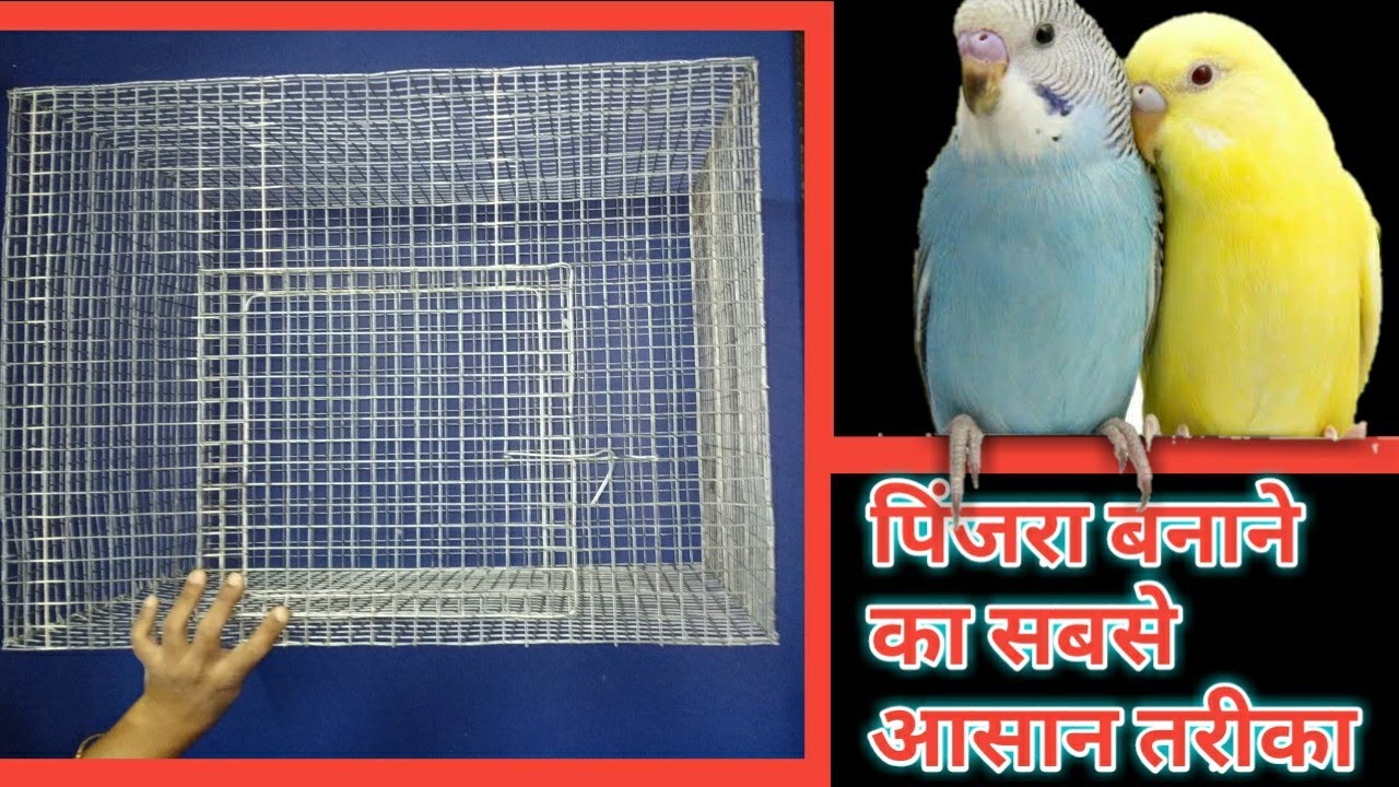 How To Make Birds Cage At Home || budgies parrot ka cage kese banaye ...