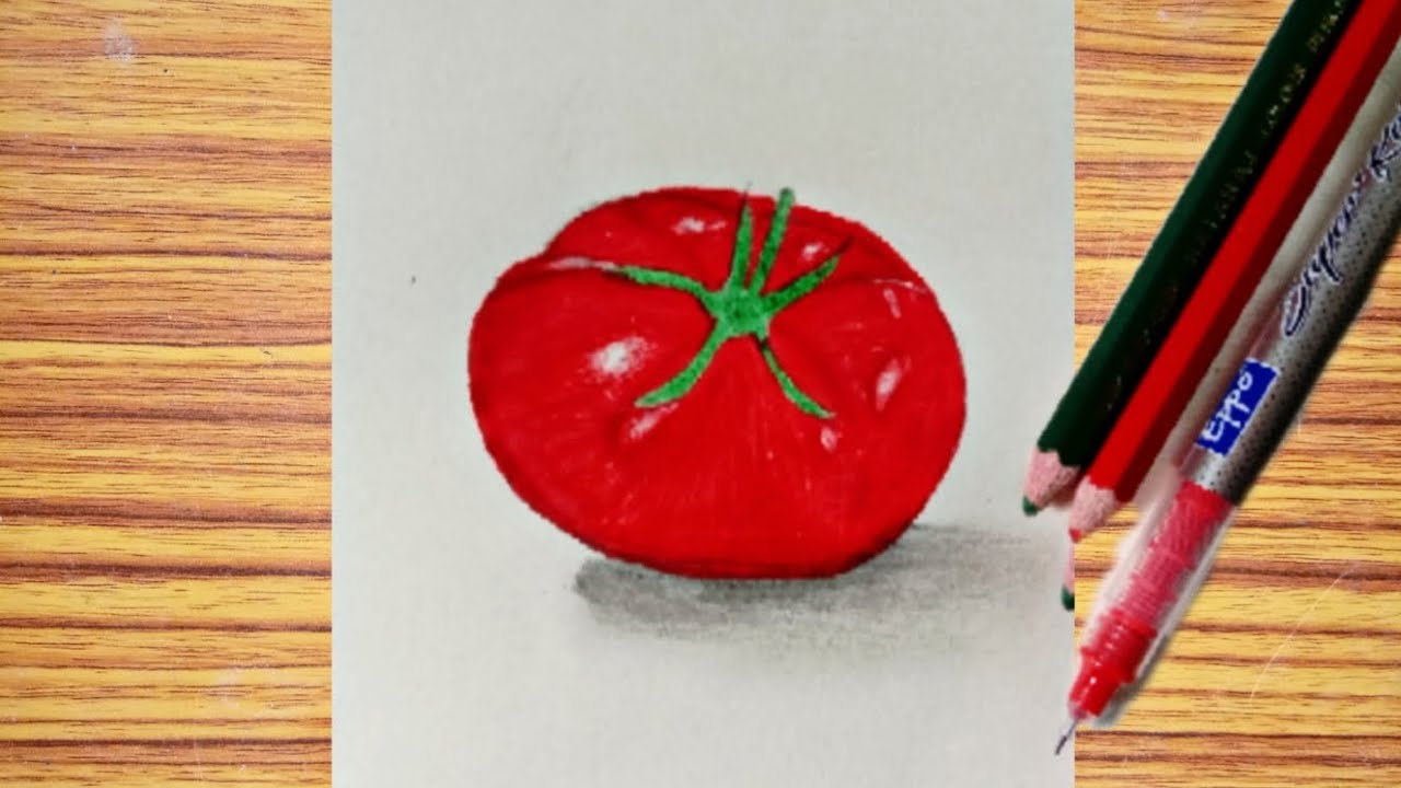 How to draw tomato || easy drawing || tomato drawing || used pen and ...