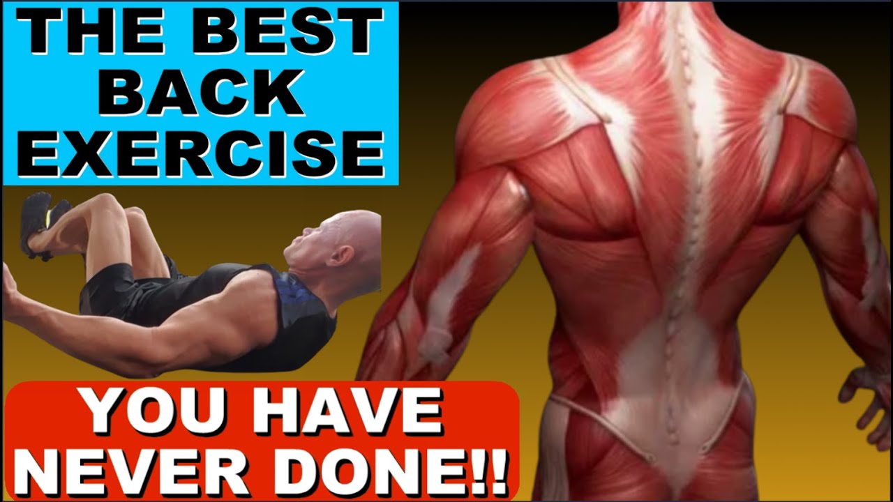 Build a strong back for longevity over 50. (For improved strength and ...