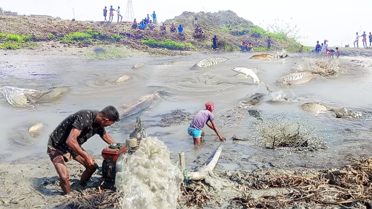 Best Fishing Video 2023 | Use A Large Capacity Pump | Everyone Should ...