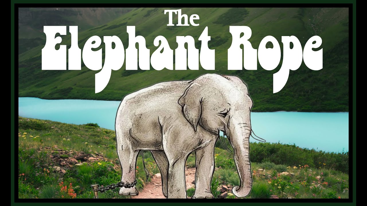The Elephant Rope(Belief) | Short Story With Moral Lesson By Miracle ...