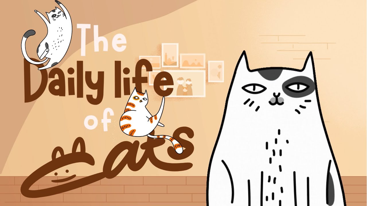 The Daily life of Cats | Meme cats | Cat vlog | Animated - YouTube