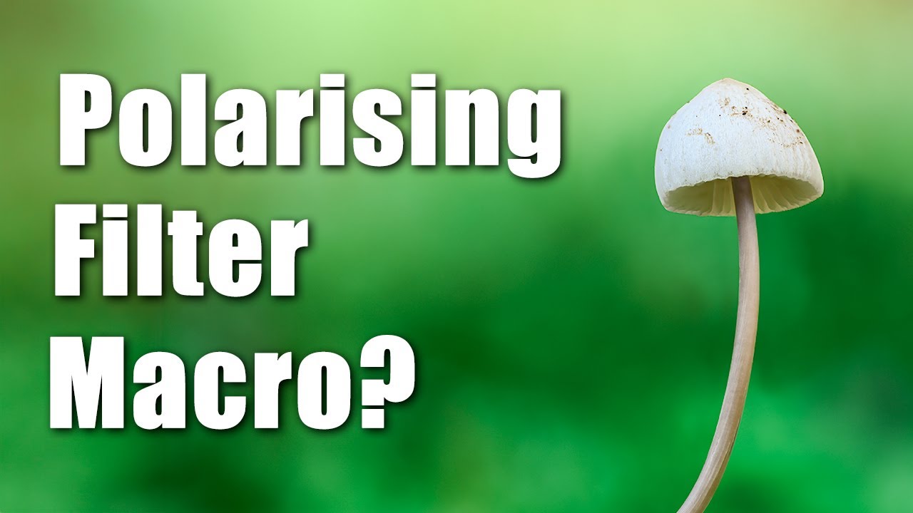 Can you do macro photography with a polarising filter? - YouTube