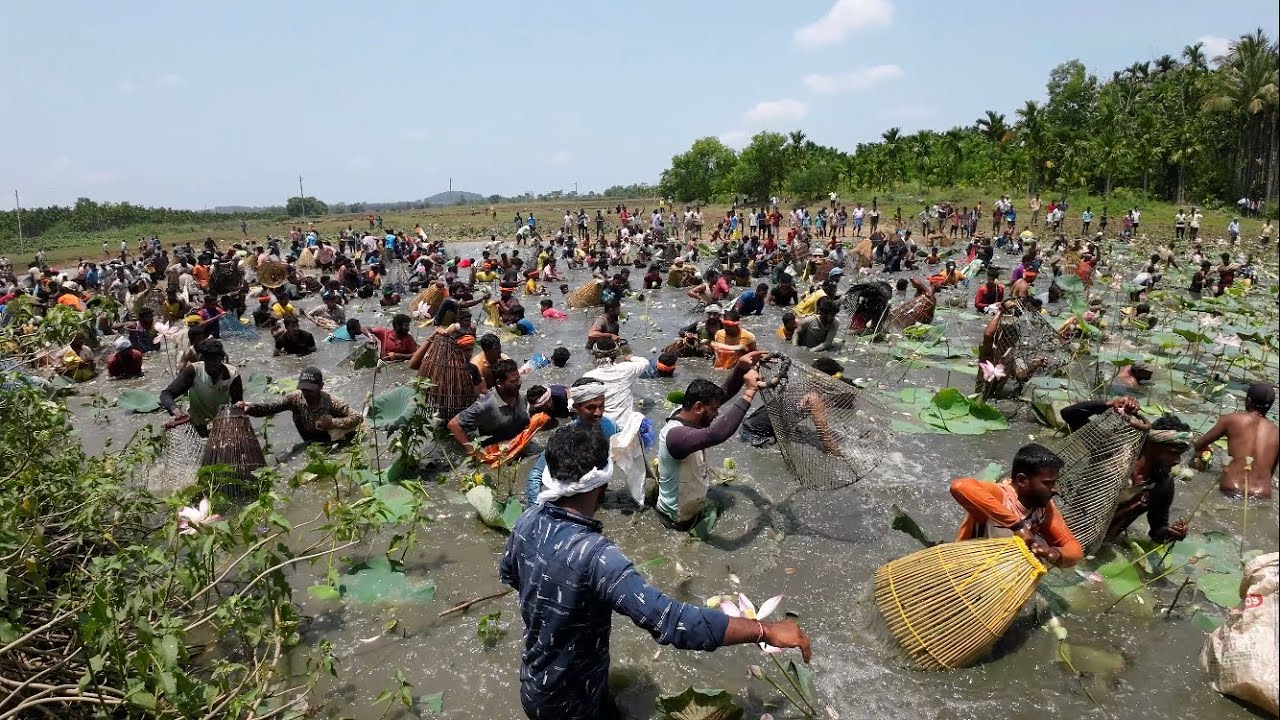 Crowd Fishing: "You’ve never seen this many people in one pond – all ...