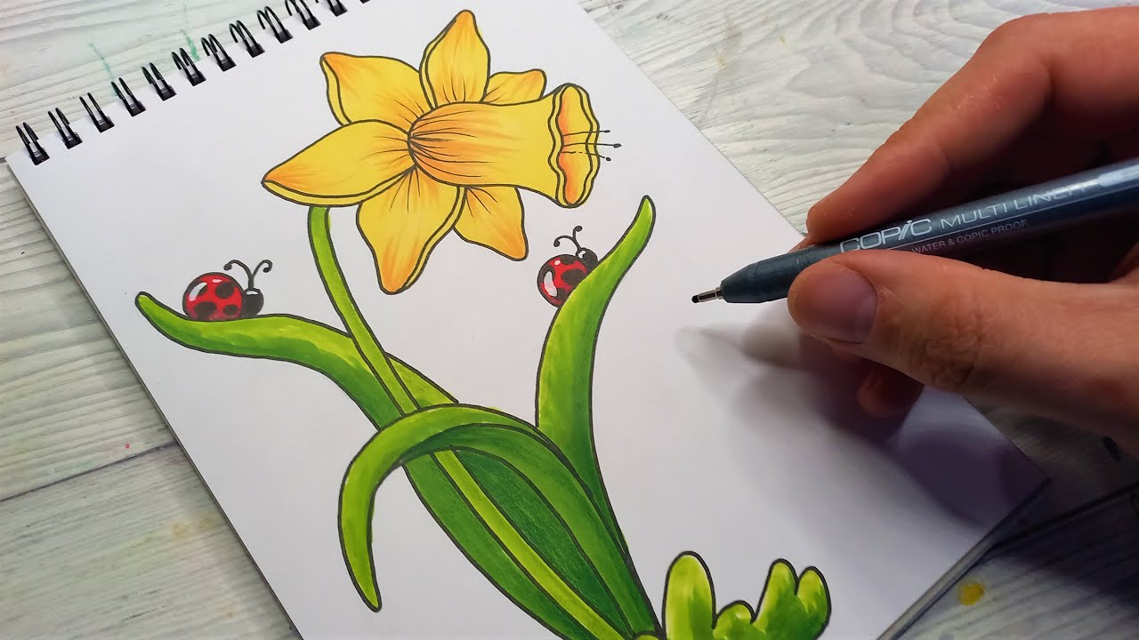 DESENEZ o NARCISA si BUBURUZE 💐 Deseneaza FLORI de PRIMAVARA 💐 Tutorial Pas cu Pas - YouTube