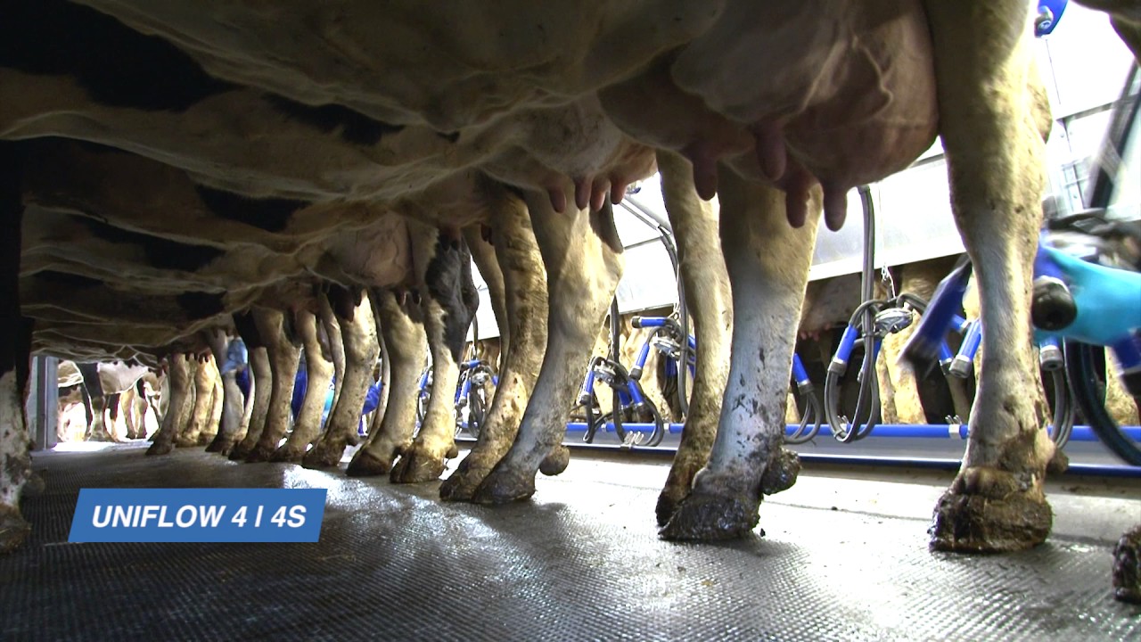 Uniflow 4 + 4S - YouTube