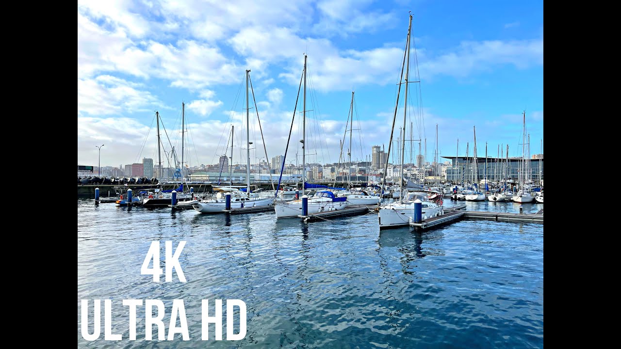 Sea Enchantment: Captivating 4K Harbor Views for Total Relaxation ...