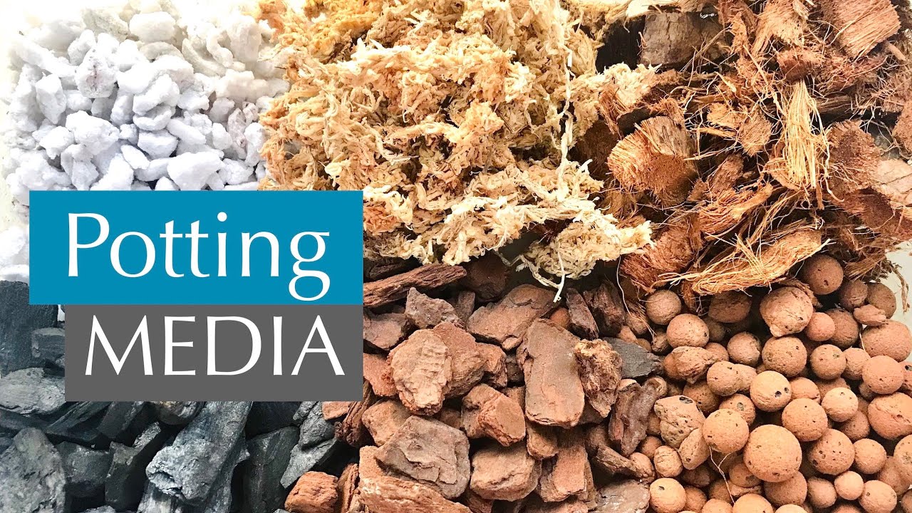 Potting Media!! - YouTube
