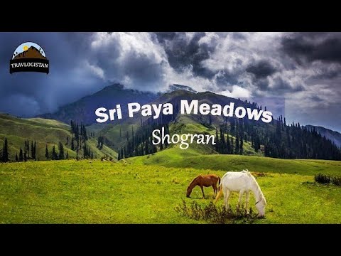 Siri Paye Shorgan Kaghan Valley Pakistan : Pakistan Travel - YouTube