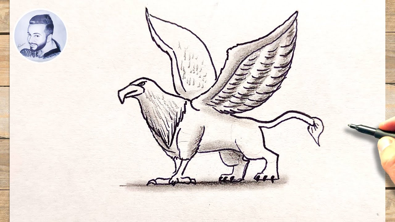 Comment dessiner un griffon facile - YouTube