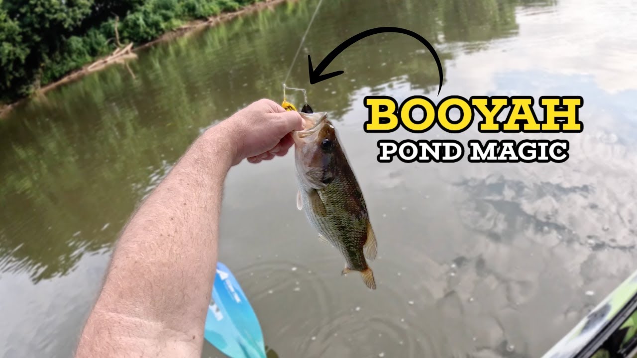Kayak Fishing the Yadkin River - North Carolina - YouTube