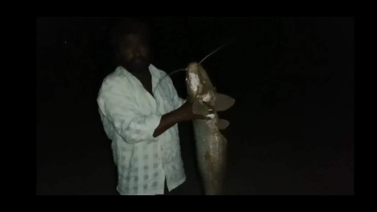 🏴🏴🏴🌆🌃🌃🌃🌆 Night shikar for Padhan fish with spoon 🐳🐟🐬🐬🐳🐳🐳🐟🎏🎏🎏🎏🐳🐳🐟🐬🎏🐬🦈🐬🐠🐞 ...