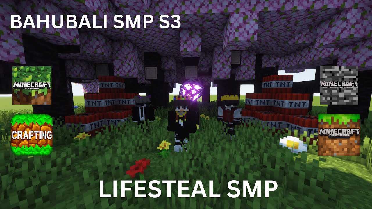 LIFESTEAL SMP FOR CRAFTING AND BUILDING,PE,JAVA,BEDROCK | crafting and ...