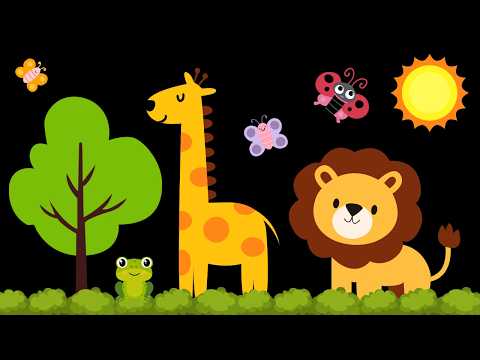 Baby Sensory Video – Newborn Visual Stimulation – Sensory Videos for Babies - Tummy Time #baby