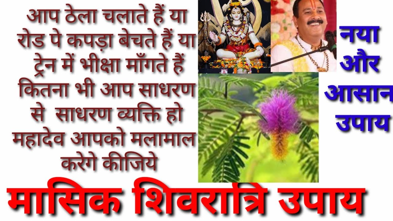 shami ke phool ka upay|shami ka phool chadhane se kya hota hai|shami ka ...